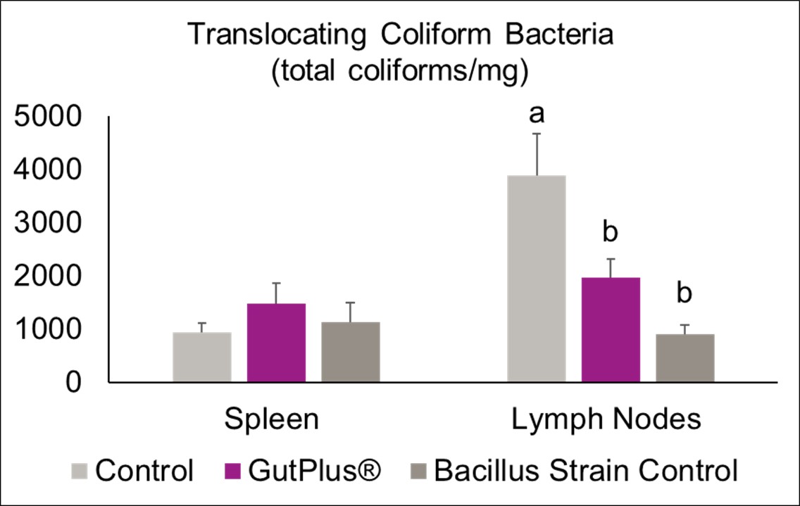 Maintaining a healthy gut to optimize growth performance of weaned pigs ...