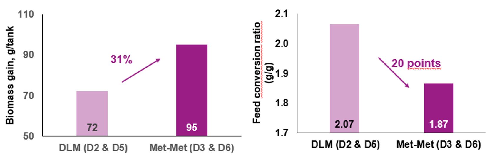 Key to boosting shrimp performance, health and sustainability