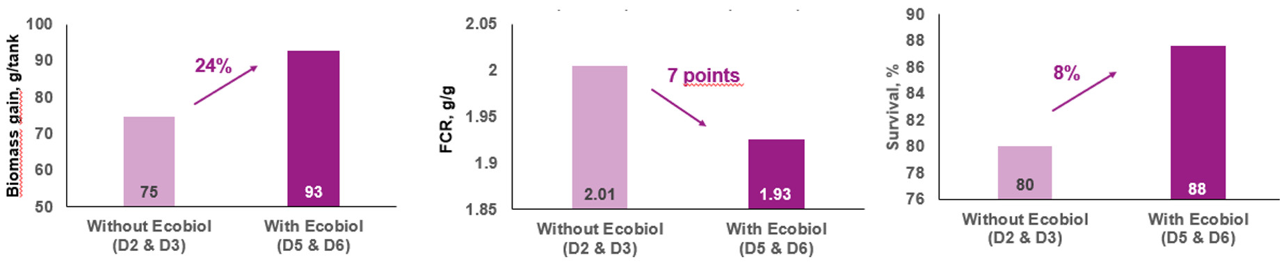 Key to boosting shrimp performance, health and sustainability