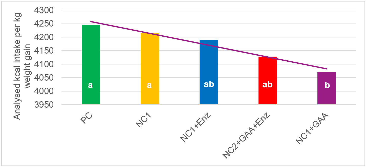 How can poultry producers reduce feed costs by sparing energy? A look ...