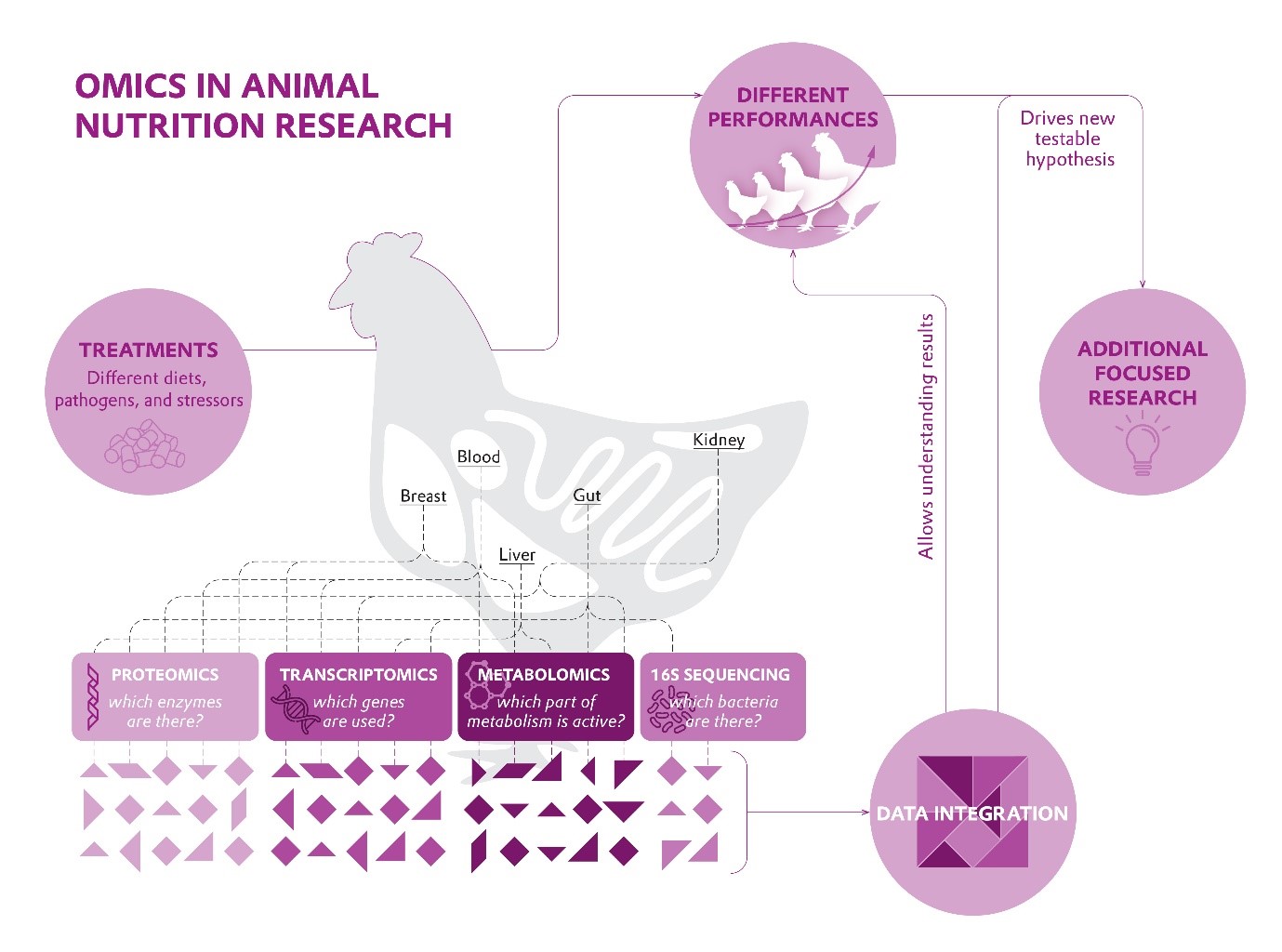 Omics in Animal Nutrition Research